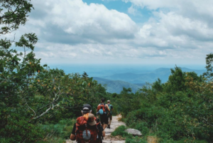 Your Guide to Summer Adventures in Towns County, Georgia: Waterfalls ...
